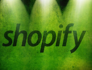 Shopify Website Design and Development – Ingenious E Solutions